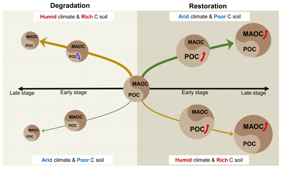 GCB：全球土地利用变化对土壤矿物结合态和颗粒态有机碳的综合分析 - 南京军凌环保科技有限公司
