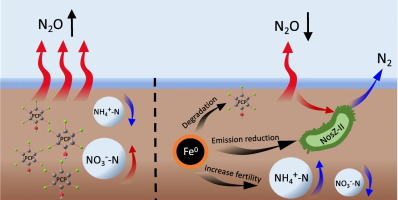 文献分享 | SCI TOTAL ENVIRON｜nZVI(纳米零价铁)降低农药污染水稻土的N2O排放 - 南京军凌环保科技有限公司